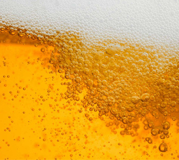 Pression 50cl - Terragame